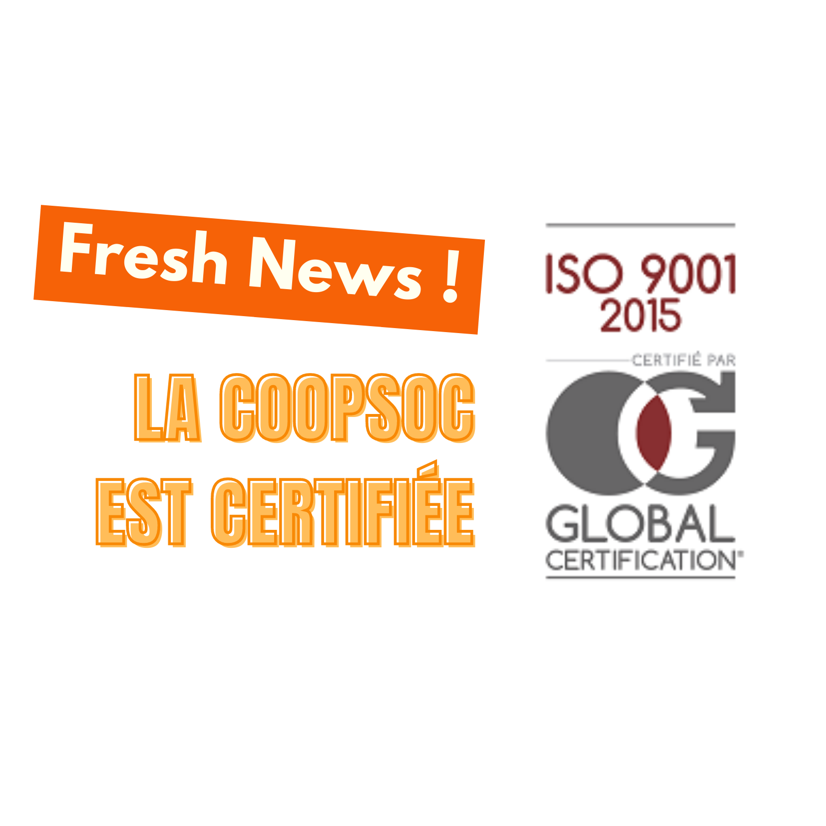 Actualités - coopsoc.com